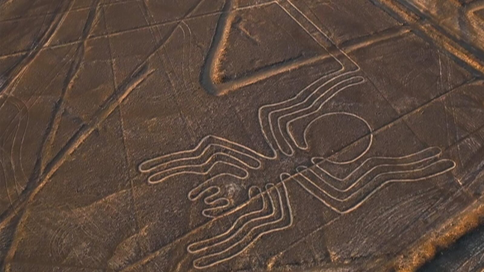 The Secrets of the Nazca Lines Revealed