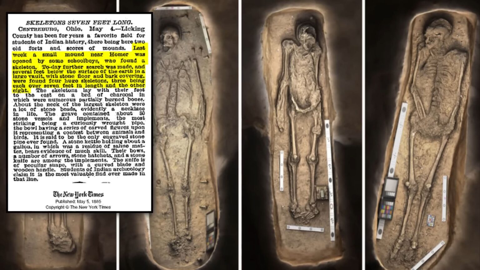 Pre-Historic Nephilim Giants: Evidence & Discoveries