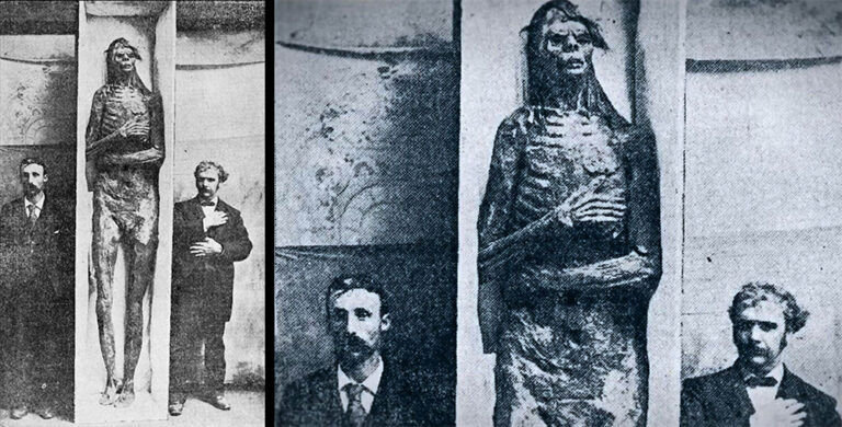 Pre-Historic Nephilim Giants: Evidence & Discoveries